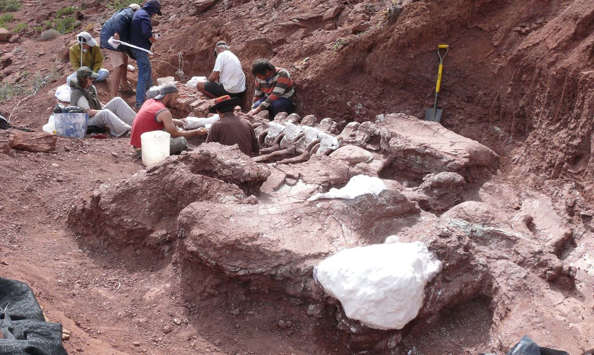 Titanossauro descoberto na Argentina é exemplar mais antigo da espécie ...